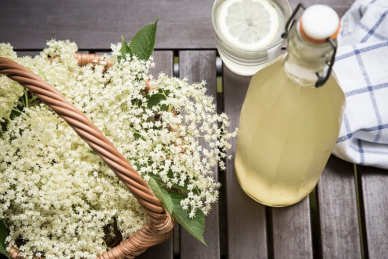 DOMAĆI SOK OD ZOVE BEZ ČEKANJA! Brz recept bez konzervansa — gotov za ...
